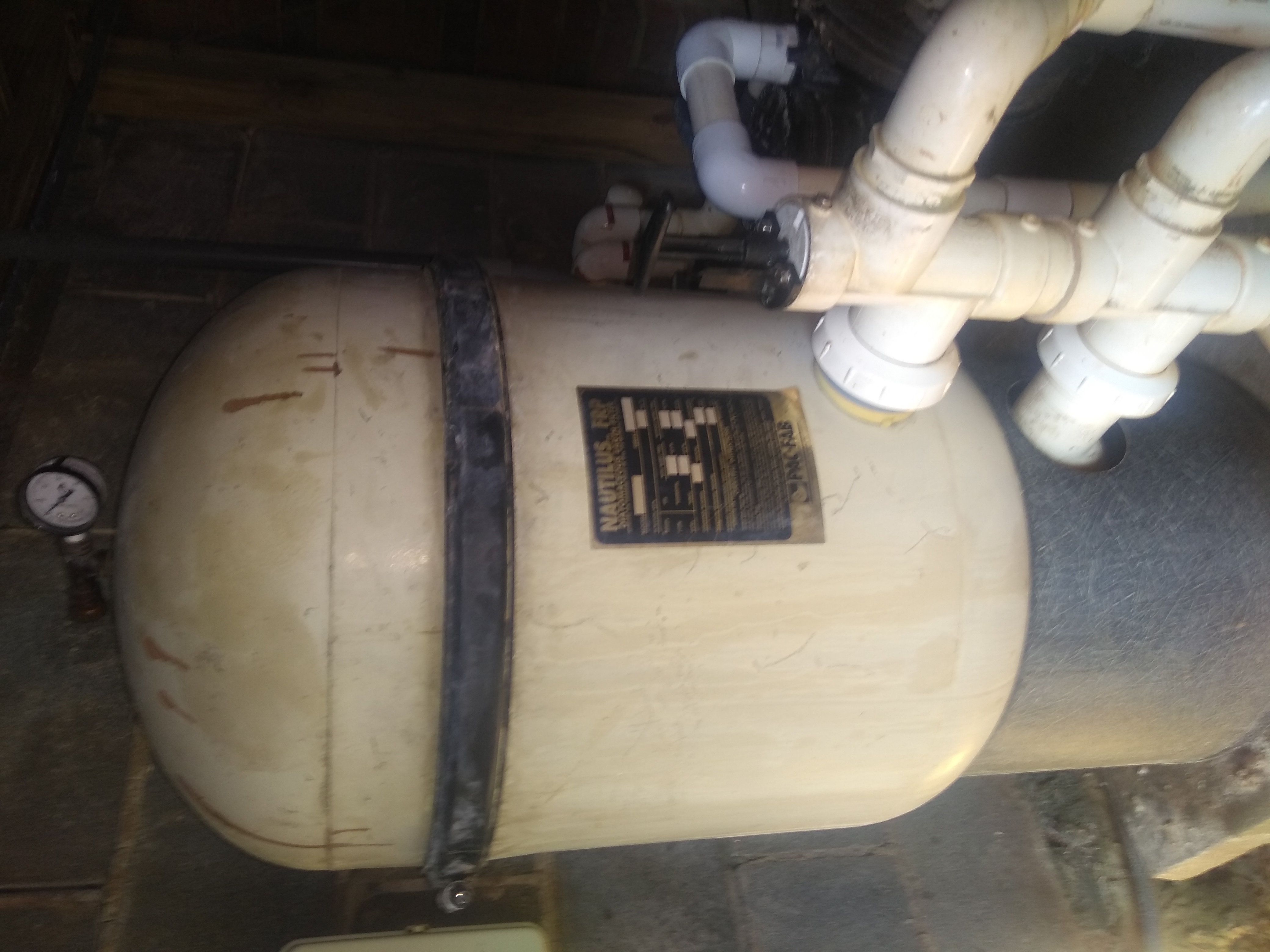 Pentair DE Filter Grid Manifold with Extension and Air Relief - 192173 ...