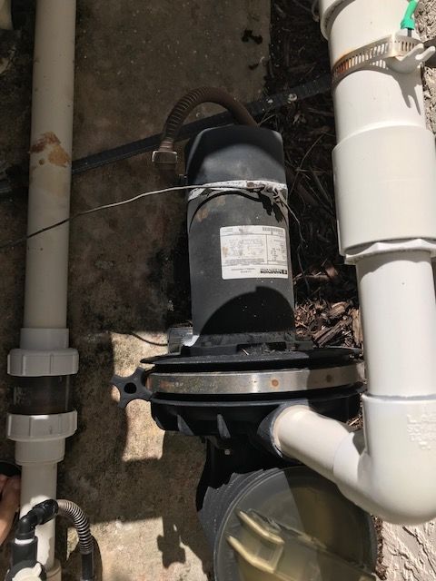 PureLine 2 H.P In Ground Pool Pump Dual Speed - PL1605 - INYOPools.com