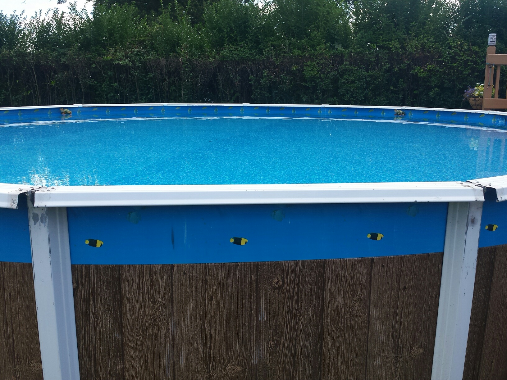 Wilbar Atlantis Esprit Top Rail, 6" x 56-27/32", Mist Grey, Single ...