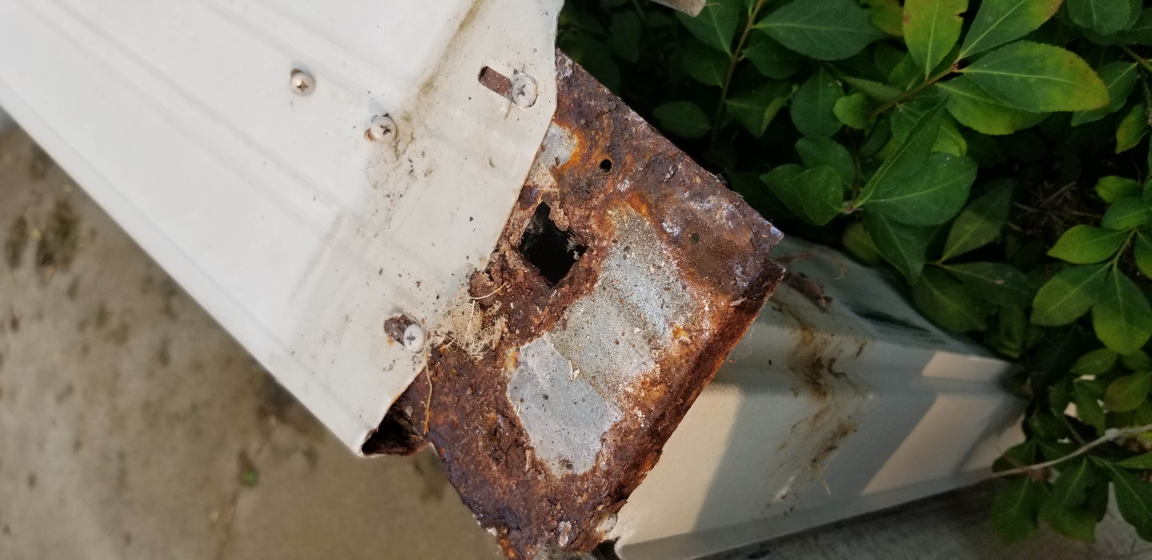 Top Plate Seaspray Ponderosa 5", For Round Pools and Round ends of Oval ...