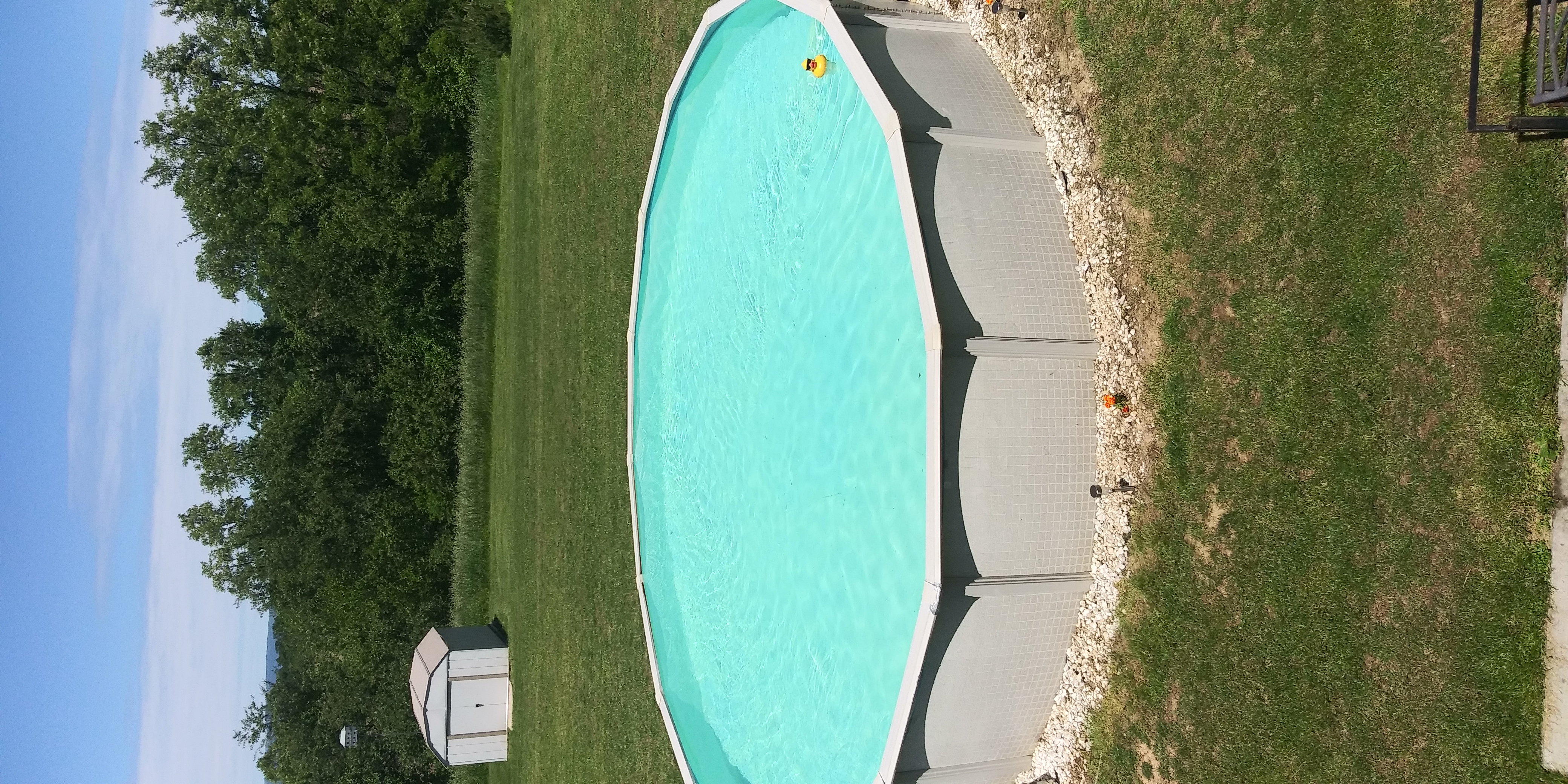 Wilbar Top Rail - Ultrada 48" (Single) - ART765-1282048 - INYOPools.com