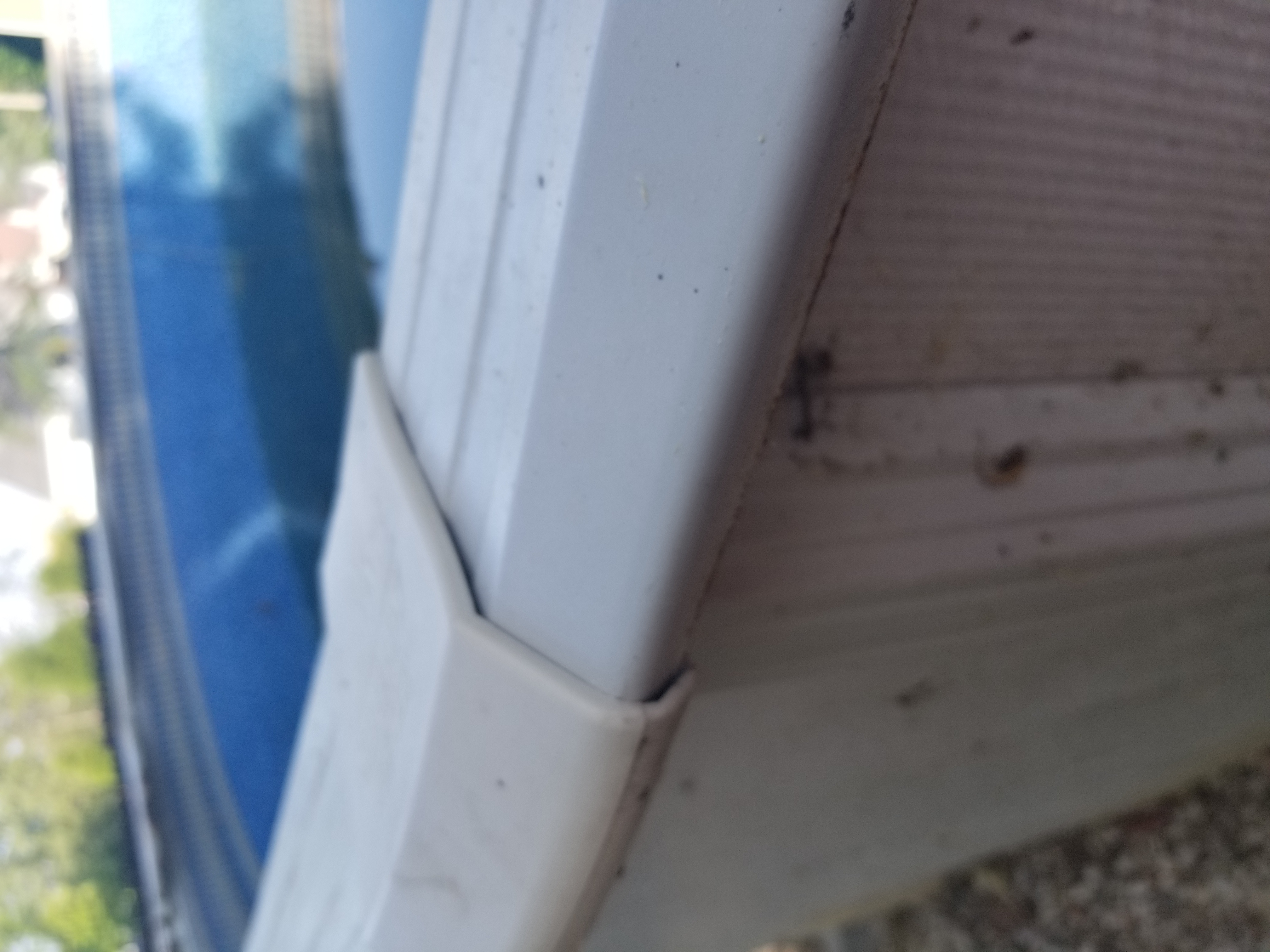 Wilbar Trendium Ultrada Top Rail, 8-1/4" x 48", Steel, Clay, Single ...